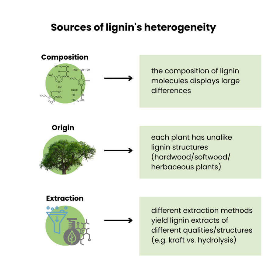 What is Lignin – everything you need to know - Lignovations