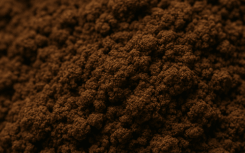 What is Lignin – everything you need to know - Lignovations